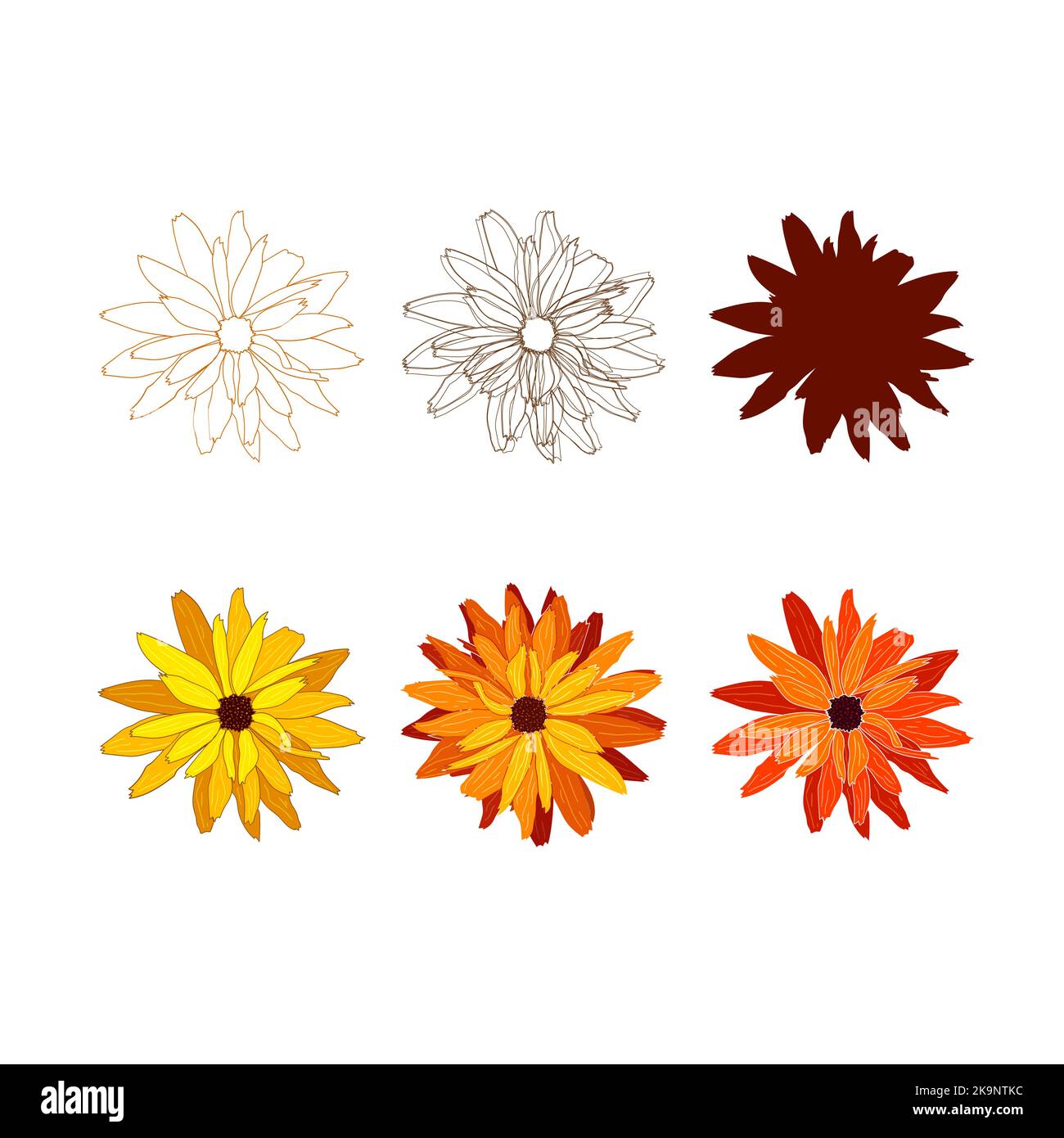 Dahlia details Cut Out Stock Images & Pictures - Alamy