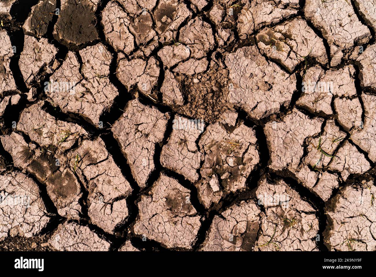 Drought land texture. Dry and cracked land due to lack of rain. Effects ...