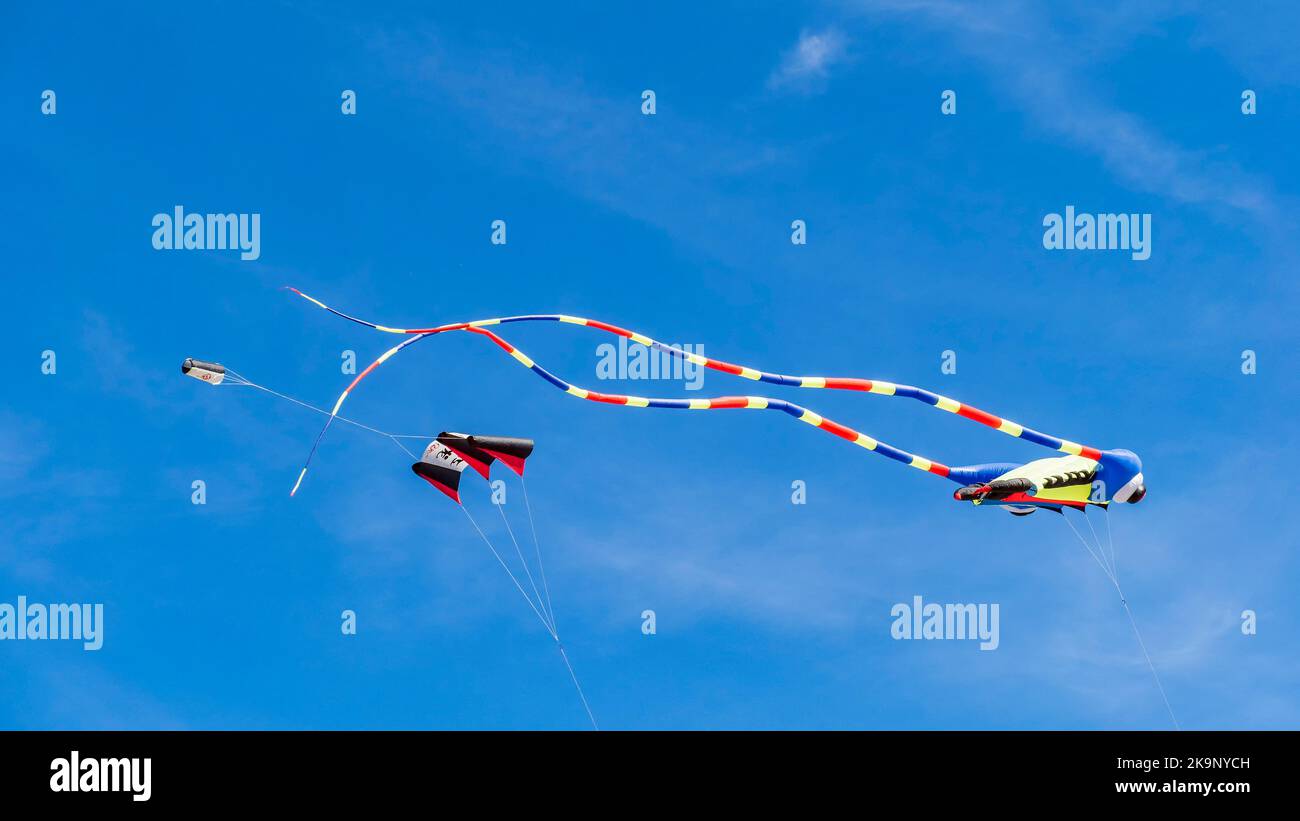 Large, brightly coloured kite flying under a blue sky Stock Photo - Alamy