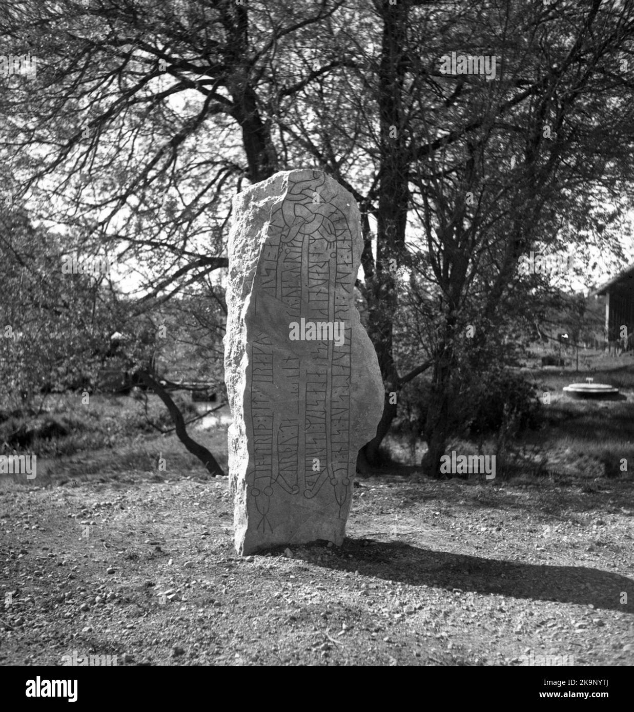 Runsten discovered in 1937 at road construction run stone text: "Astrid ...