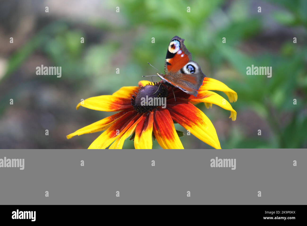 Seamless background in abstract style. Vector design element Stock ...