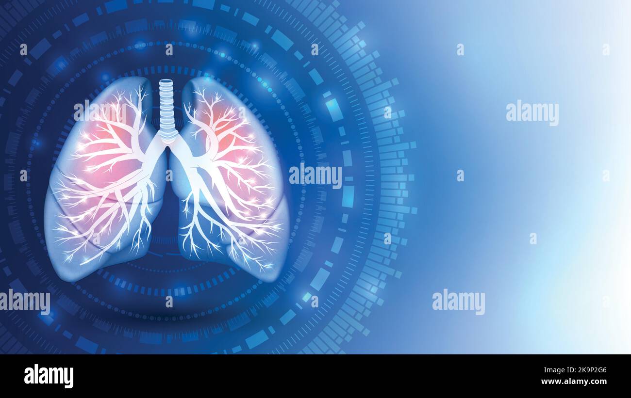 Anatomy Wallpaper Abstract