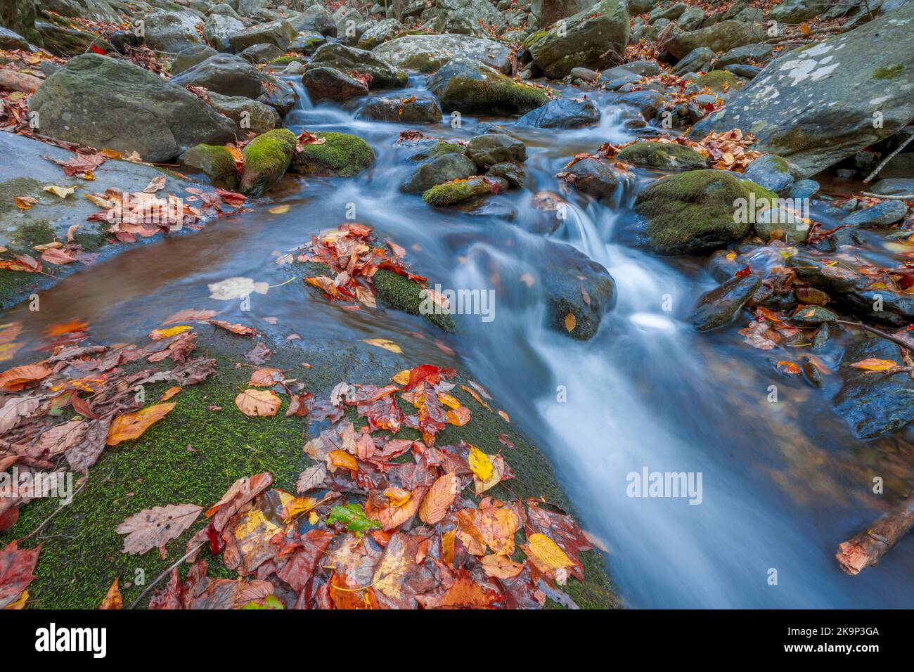 Waterfalls and trails in Shenandoah National Park Stock Photo - Alamy