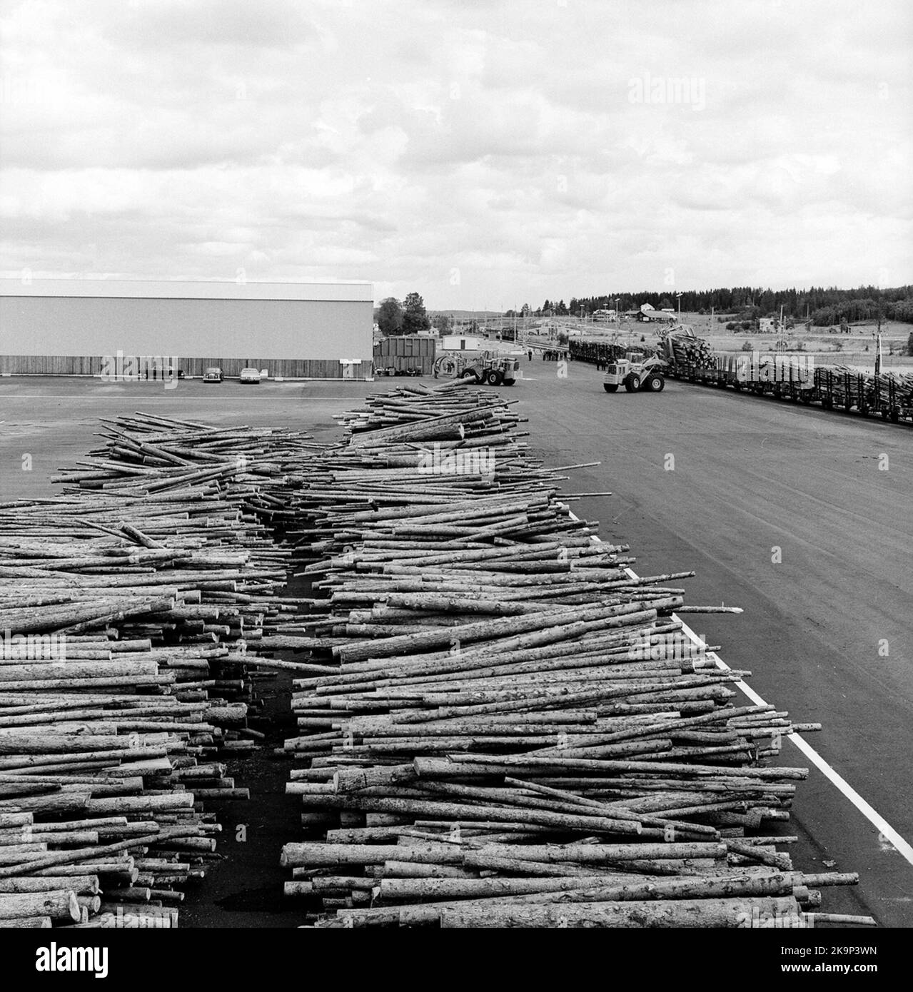 Unloading of pulpwood. SCA, Töva terminal Stock Photo - Alamy