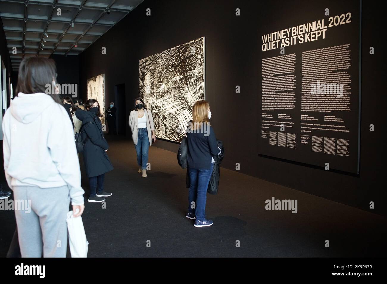 The Whitney Biennial is a biennial exhibition of contemporary American ...