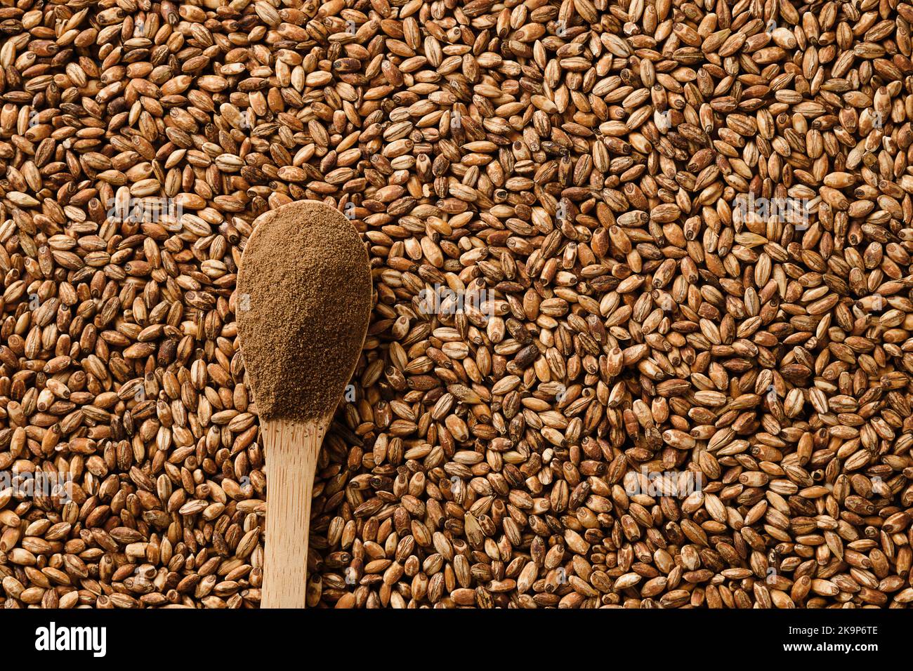 Instant caffeine free organic barley powder in spoon and roasted beans ...