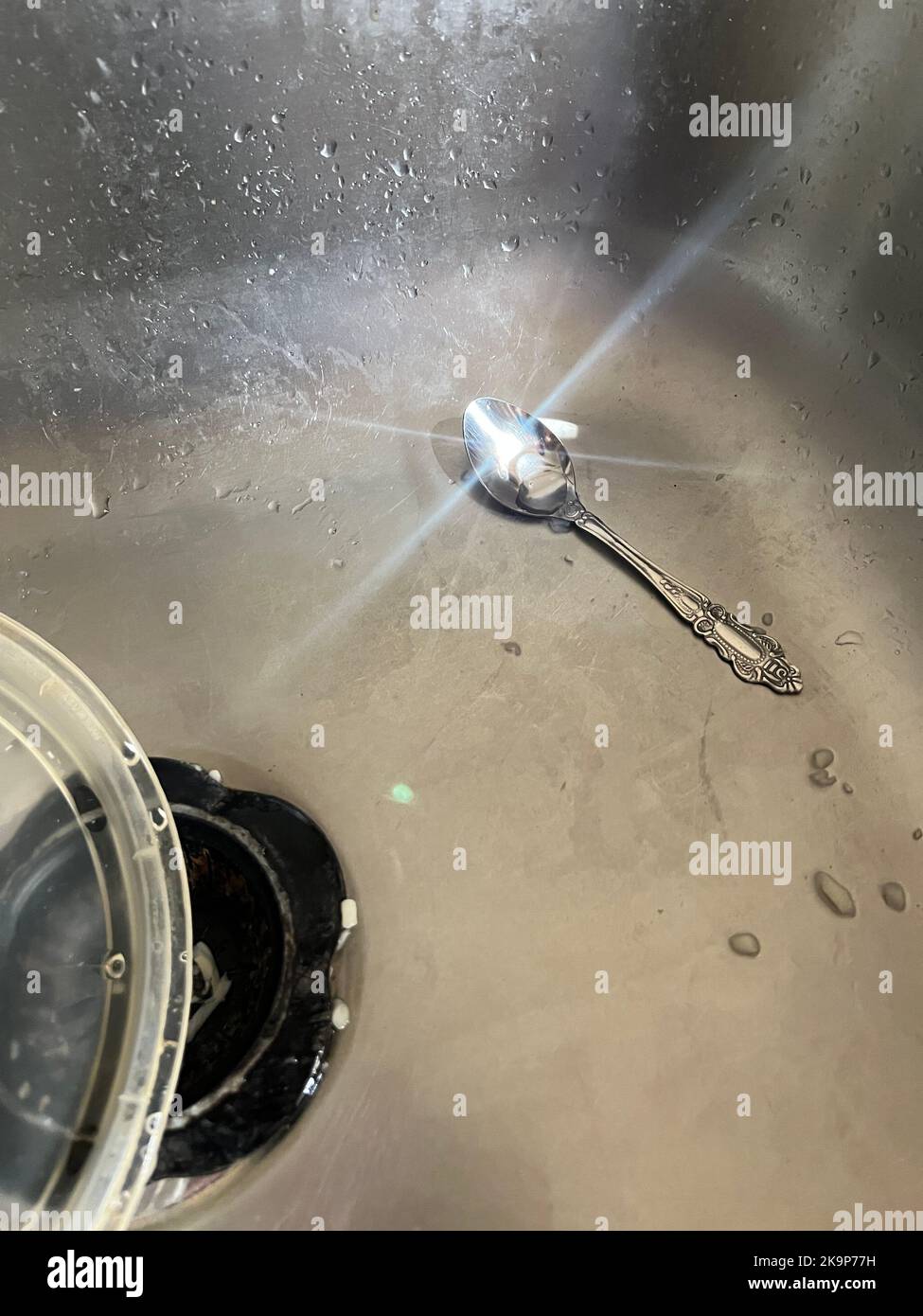 The Whitney Biennial is a biennial exhibition of contemporary American ...