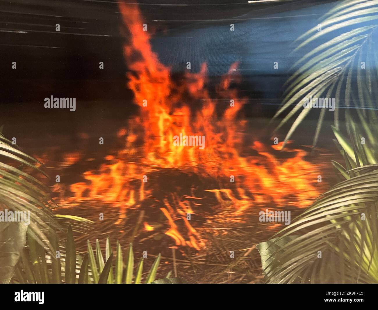 The Whitney Biennial is a biennial exhibition of contemporary American ...