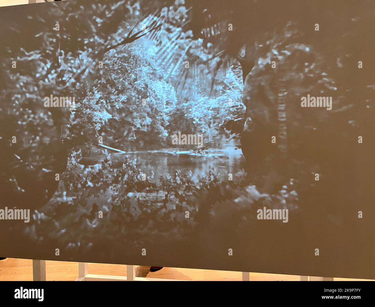 The Whitney Biennial is a biennial exhibition of contemporary American ...