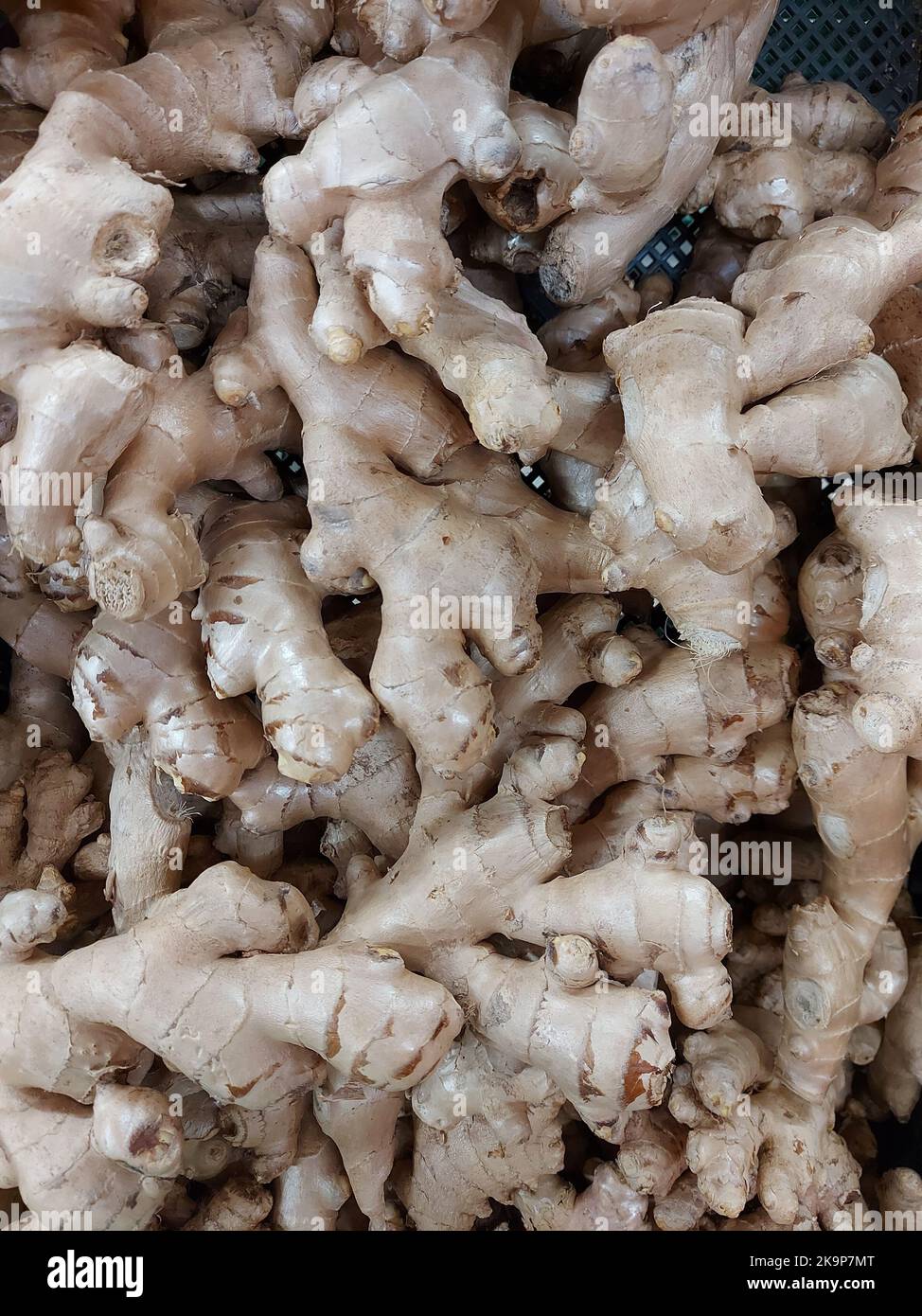 Root crop in a box hi-res stock photography and images - Alamy