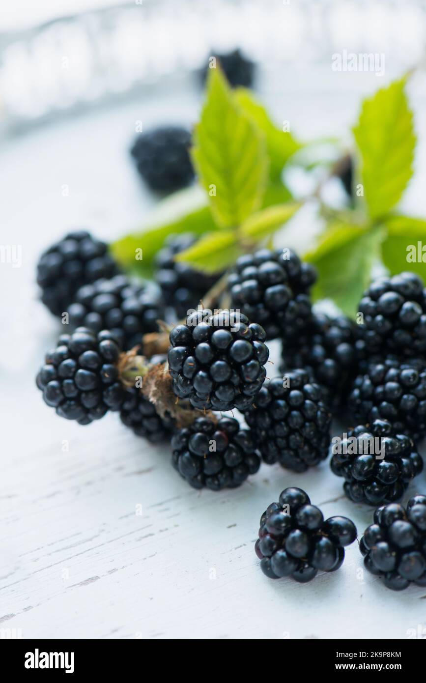 Blackberries on a white tray Stock Photo - Alamy