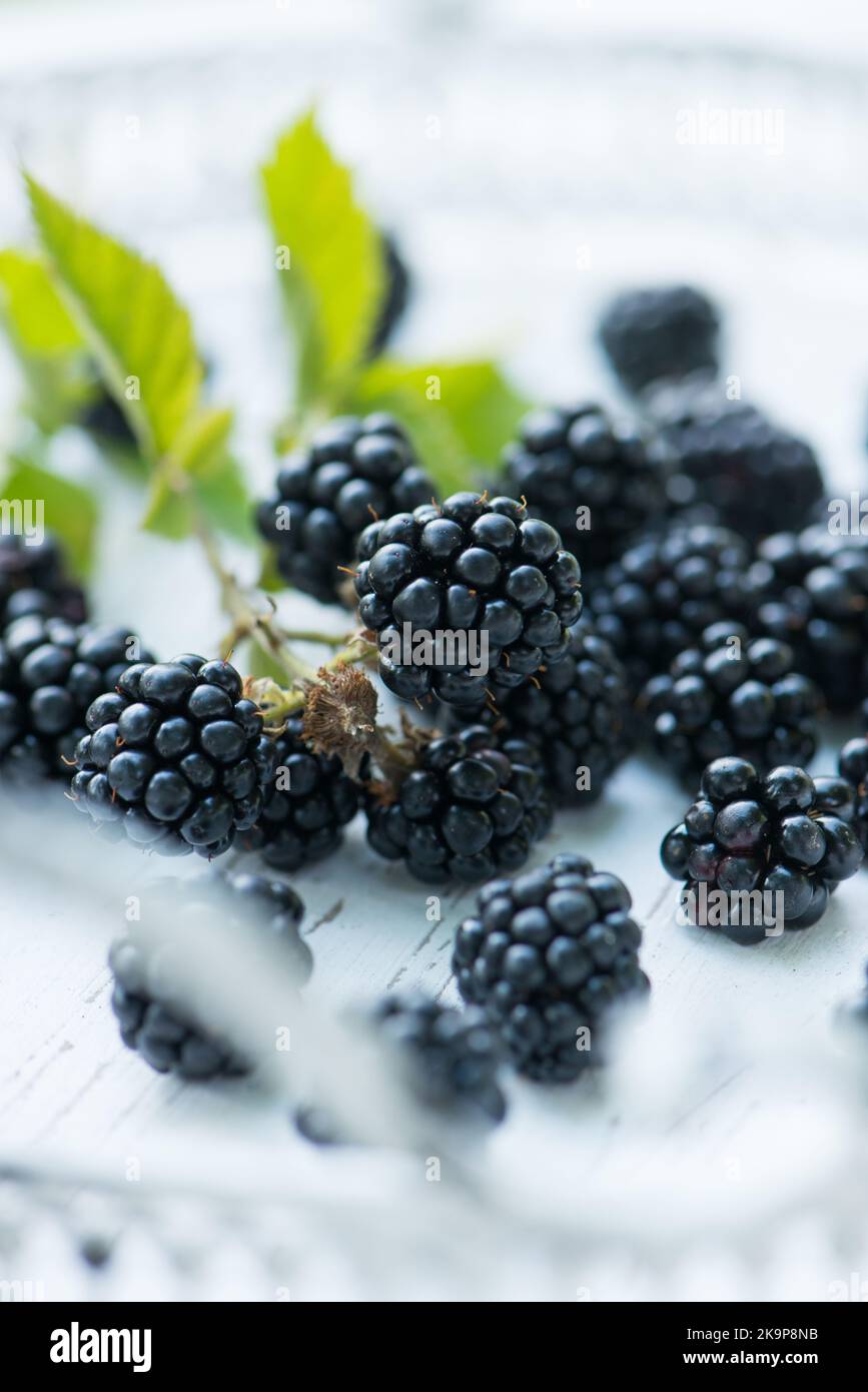 Blackberries on a white tray Stock Photo - Alamy