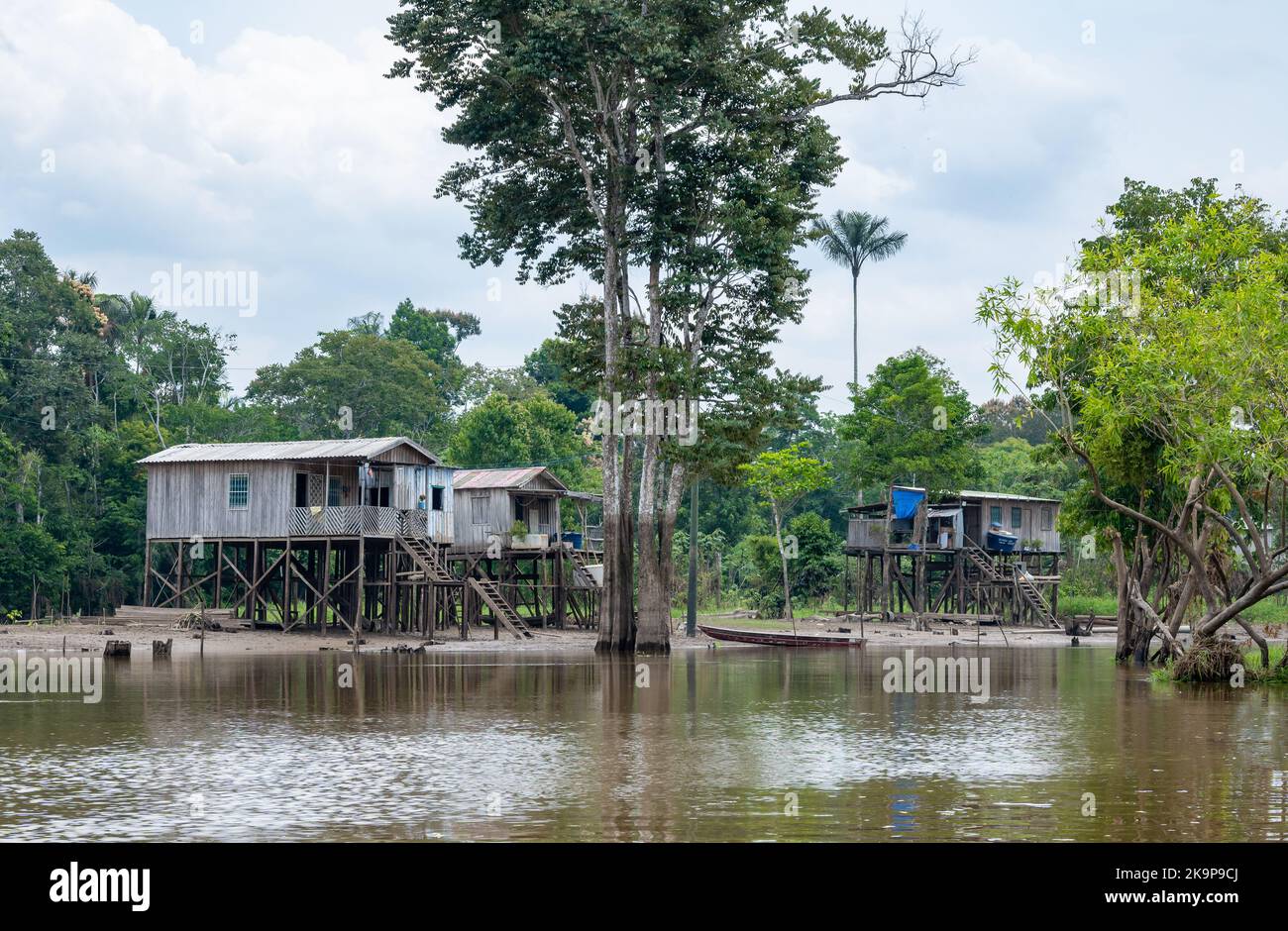 In village along Amazon river, houses are built on high posts to avoid ...