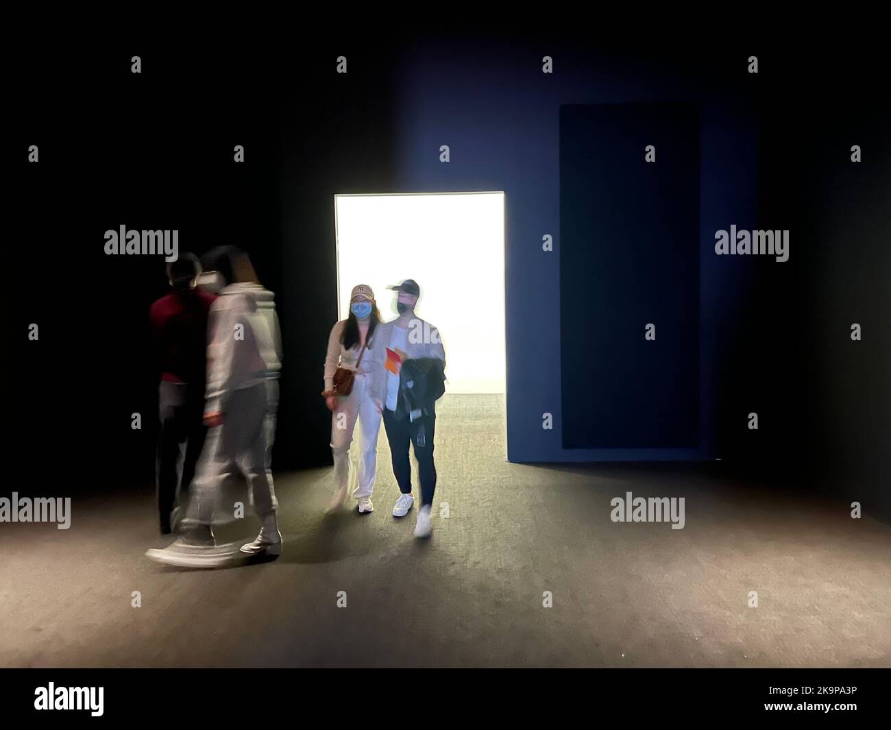 The Whitney Biennial is a biennial exhibition of contemporary American ...