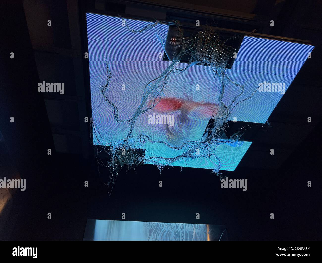 The Whitney Biennial is a biennial exhibition of contemporary American ...