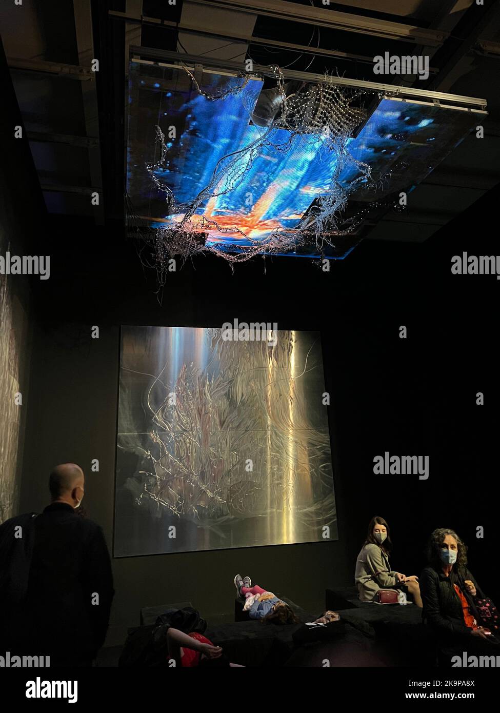 The Whitney Biennial is a biennial exhibition of contemporary American ...