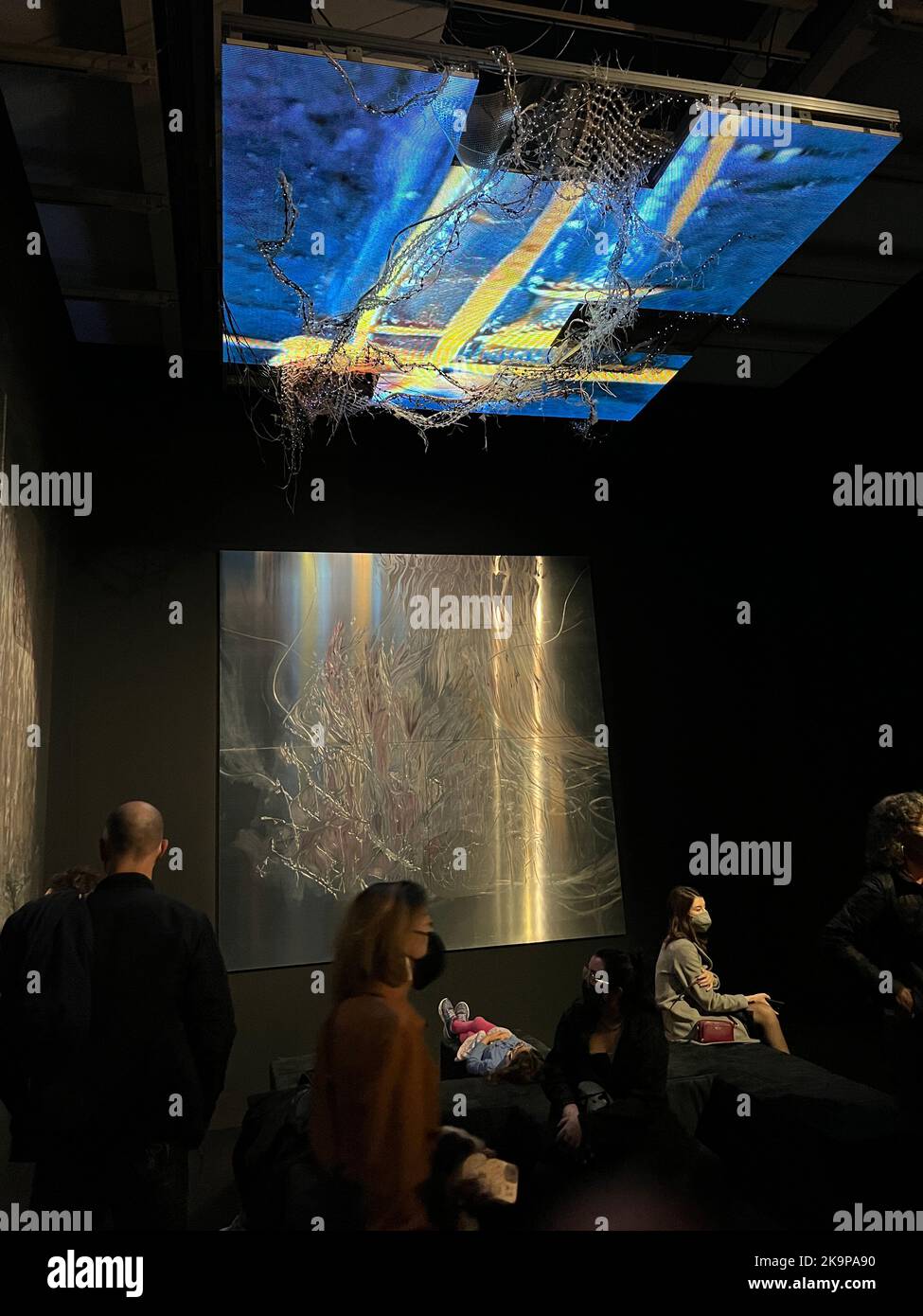 The Whitney Biennial is a biennial exhibition of contemporary American ...