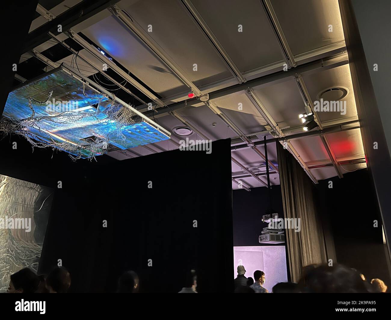 The Whitney Biennial is a biennial exhibition of contemporary American ...