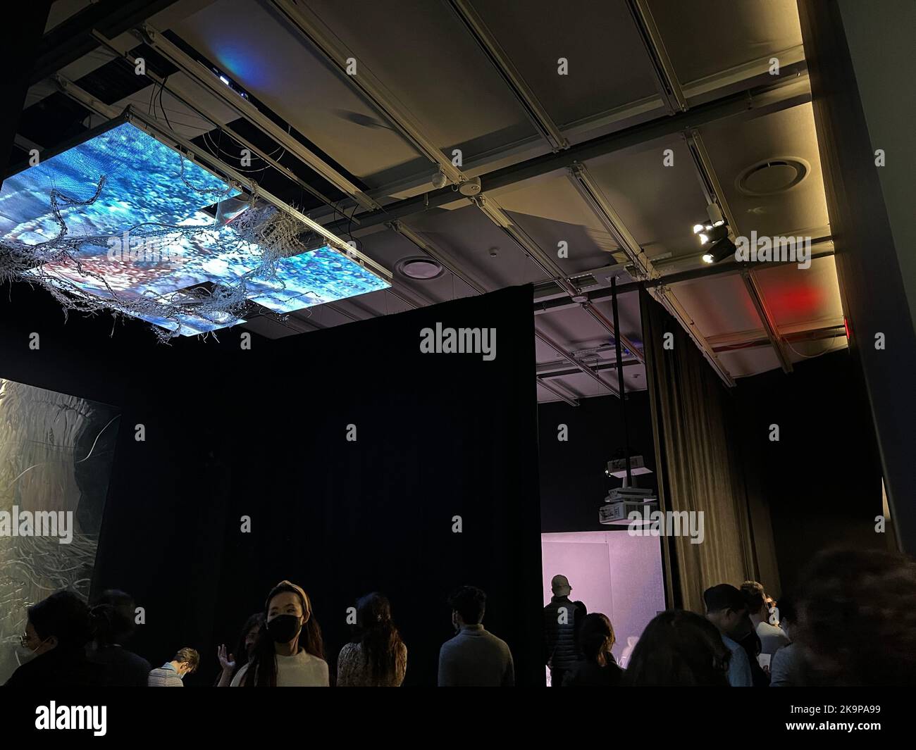 The Whitney Biennial is a biennial exhibition of contemporary American ...