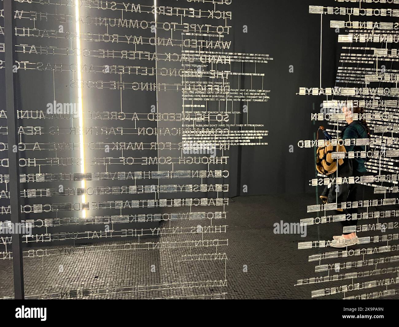 The Whitney Biennial is a biennial exhibition of contemporary American ...