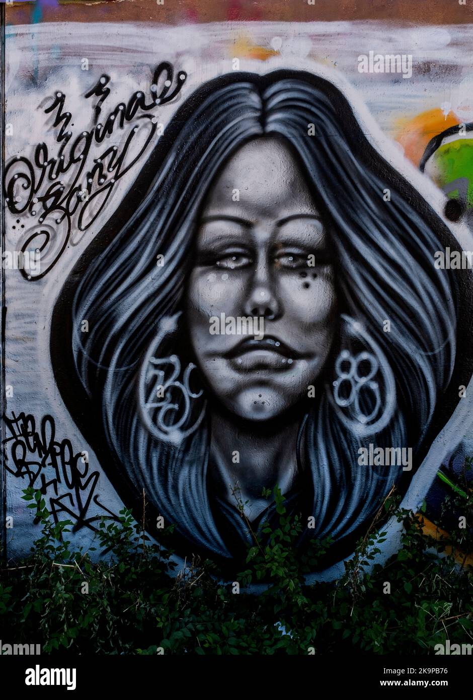 graffiti in a Albuquerque, New Mexico alleyway Stock Photo - Alamy
