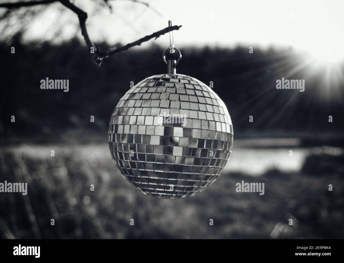 Shining disco ball hi-res stock photography and images - Alamy