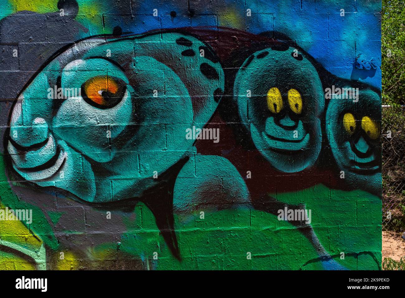 graffiti in a Albuquerque, New Mexico alleyway Stock Photo - Alamy