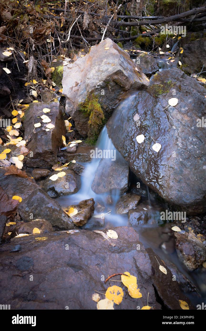 Fall Waterfall - a little stream waving it's way through the fallen ...
