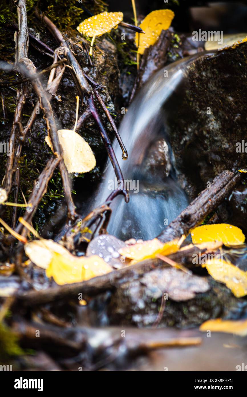 Trickle sticks hi-res stock photography and images - Alamy