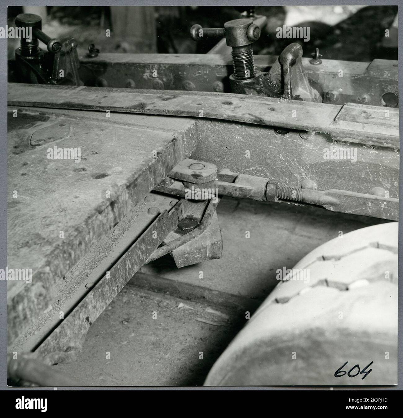 Party of a carriage bear Stock Photo - Alamy