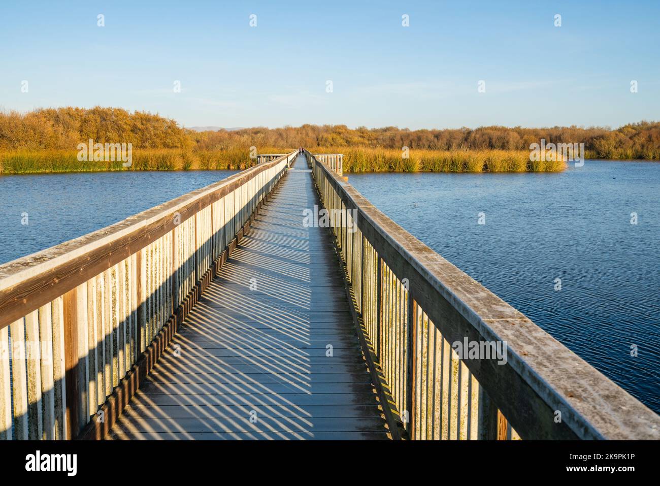 Wooden boardwalk through the Oso Flaco lake in Oceano Dunes, California. Oso Flaco is a ...