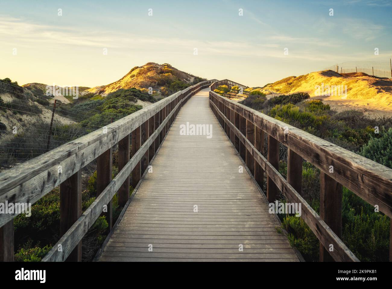 Boardwalk through sand dunes and natural habitats, beach access Stock ...