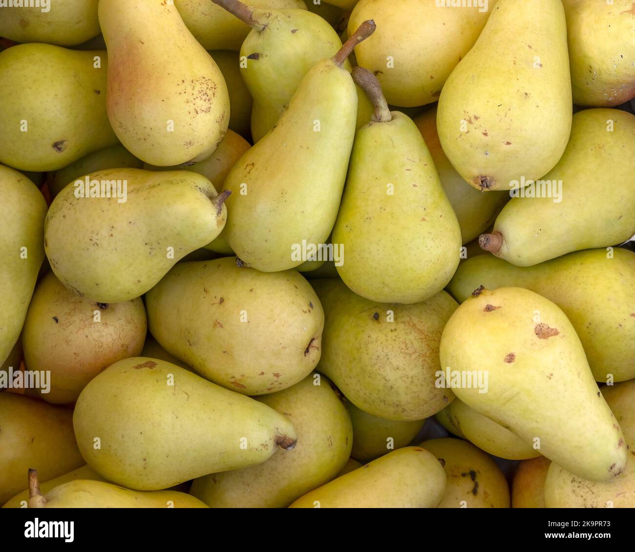 Closeup of fresh ripe Pears for sale at a food market Stock Photo - Alamy
