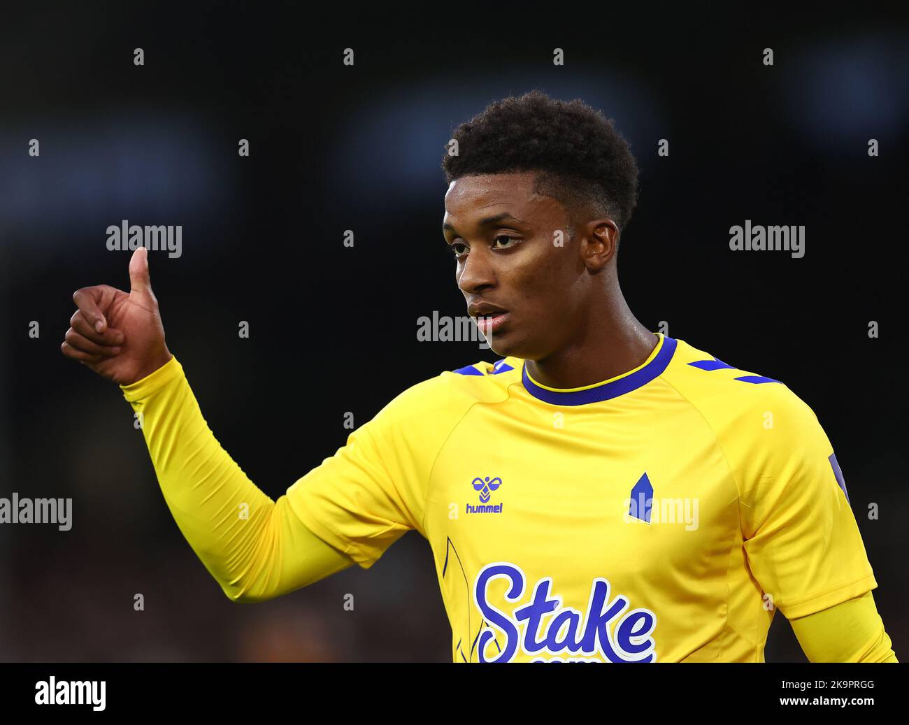 Demari hi-res stock photography and images - Alamy