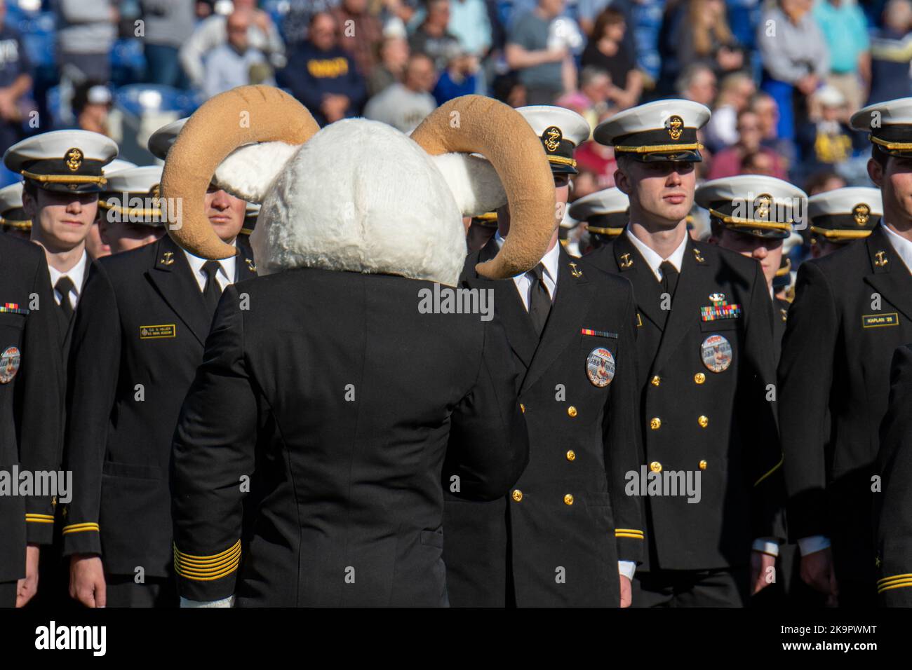 Naval academy goat mascot hi-res stock photography and images - Alamy