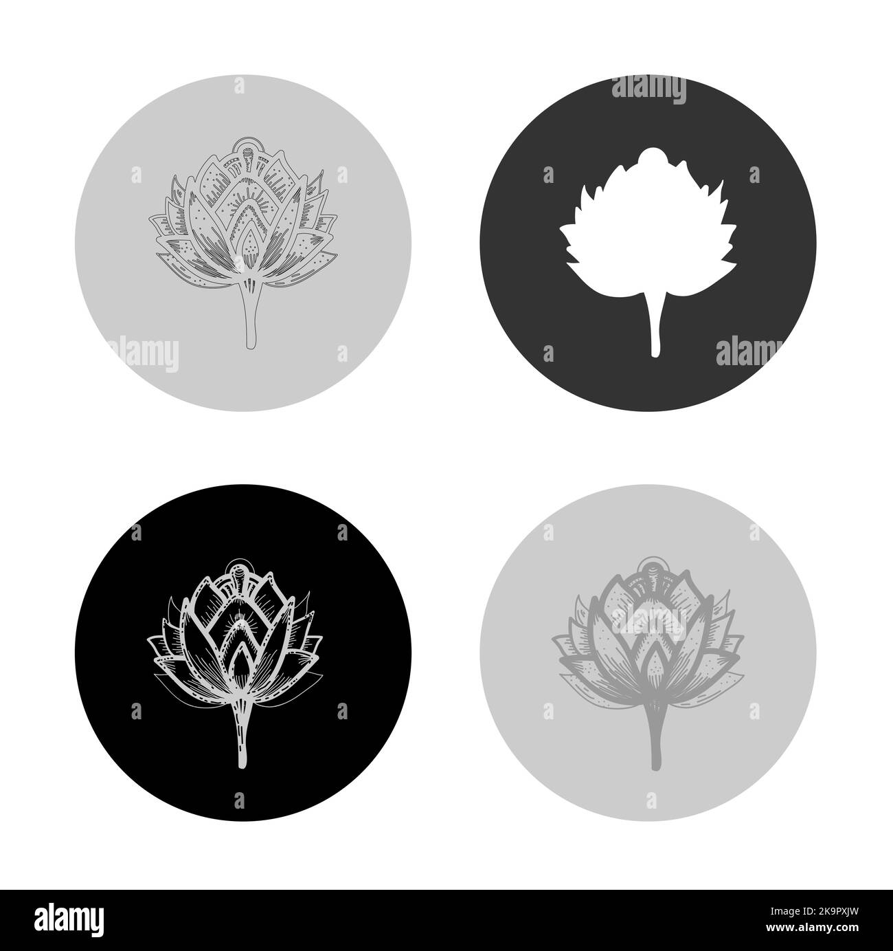 White rose in shadows Stock Vector Images - Alamy