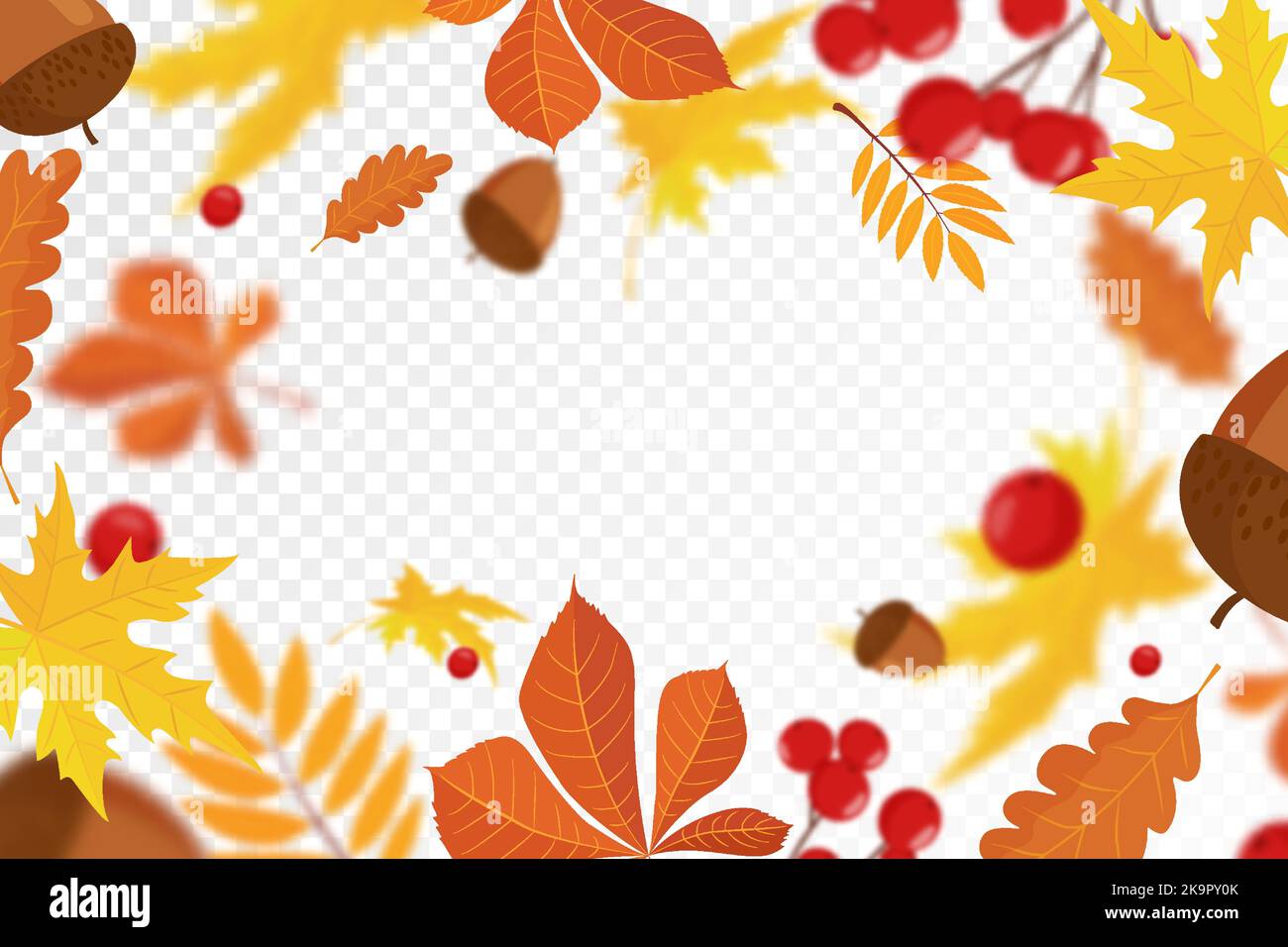 Falling colorful autumn maple and oak leaves, viburnum and acorns with ...