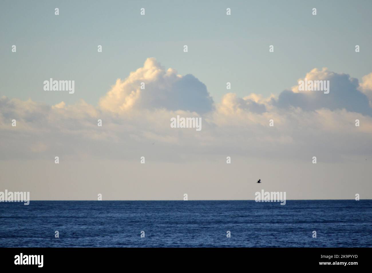 White cumulus clouds over the blue surface of the sea on sunny day. Beautiful natural background ...