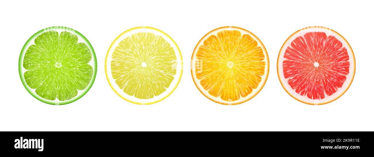 Set of juicy citrus slices. Realistic 3d vector illustration. Lemon ...