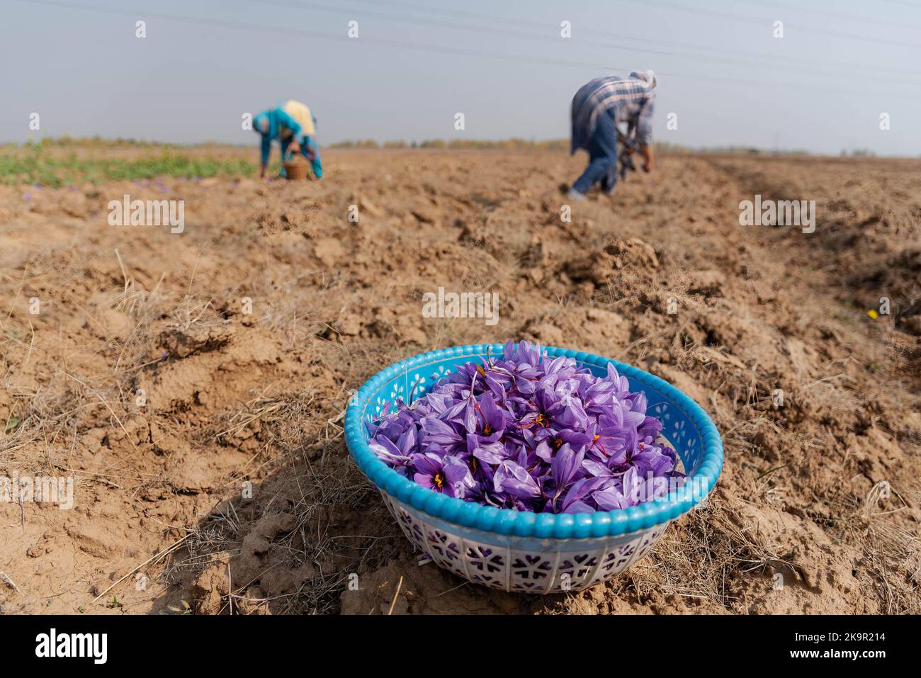 Iran basket hi-res stock photography and images - Alamy