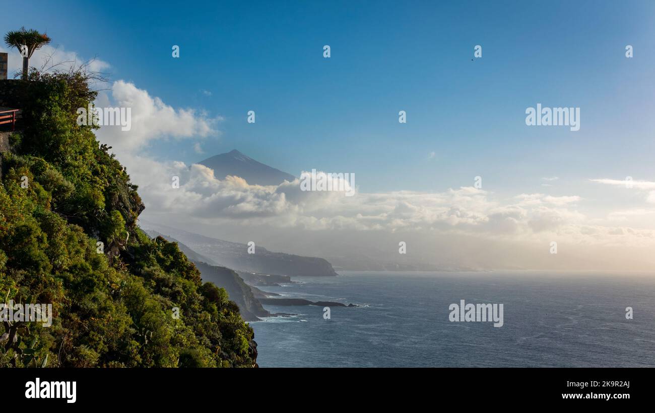 Teide volcano rising from the clouds seen from the coast. Olympic ...