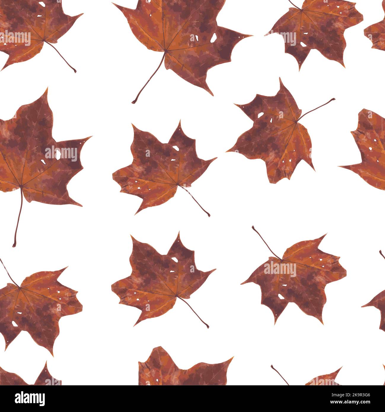 Vector decorative seamless pattern with herbal and floral motifs Stock ...