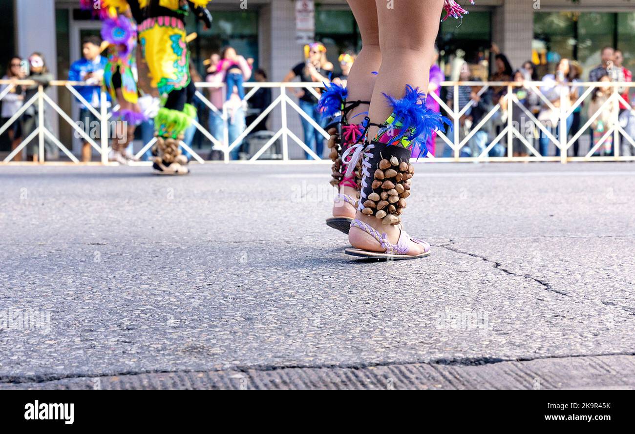 Viva la Vida Day of the Dead (Dia de los Muertos) Parade in Austin ...