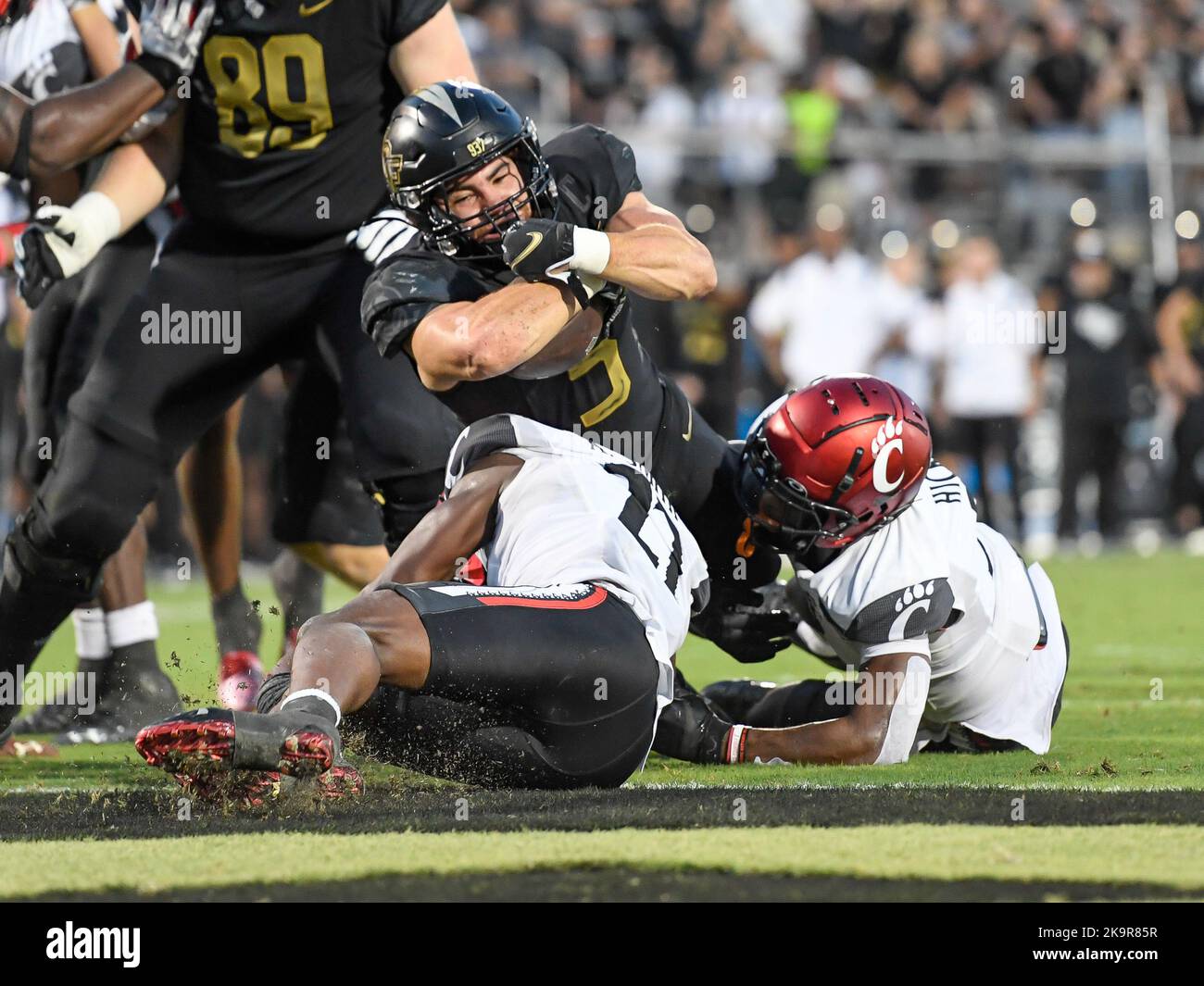 2022 0341 jpg hi-res stock photography and images - Alamy