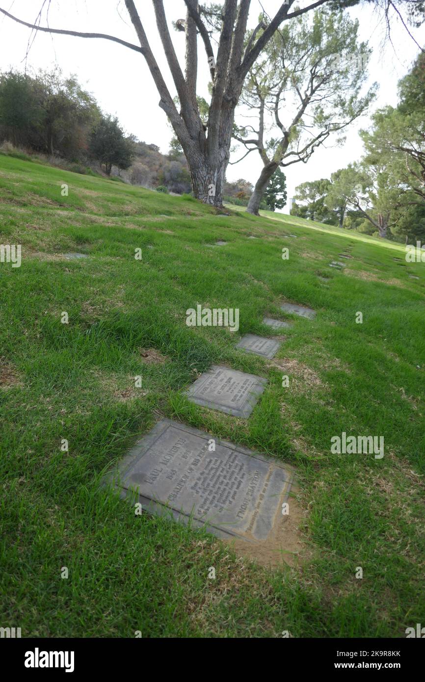 Los Angeles, California, USA 28th October 2022 Author/activist Paul ...
