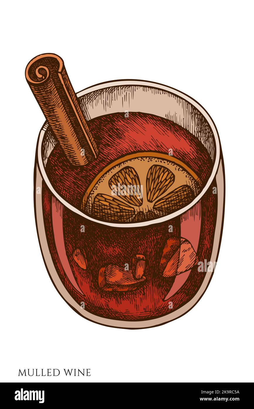 Carnival food hand drawn vector illustrations collection. Colored ...