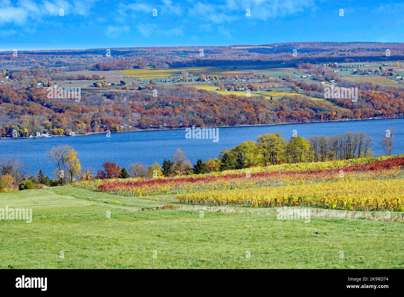 Seneca Lake in the Finger Lakes, with leaves on grape vines changing to ...