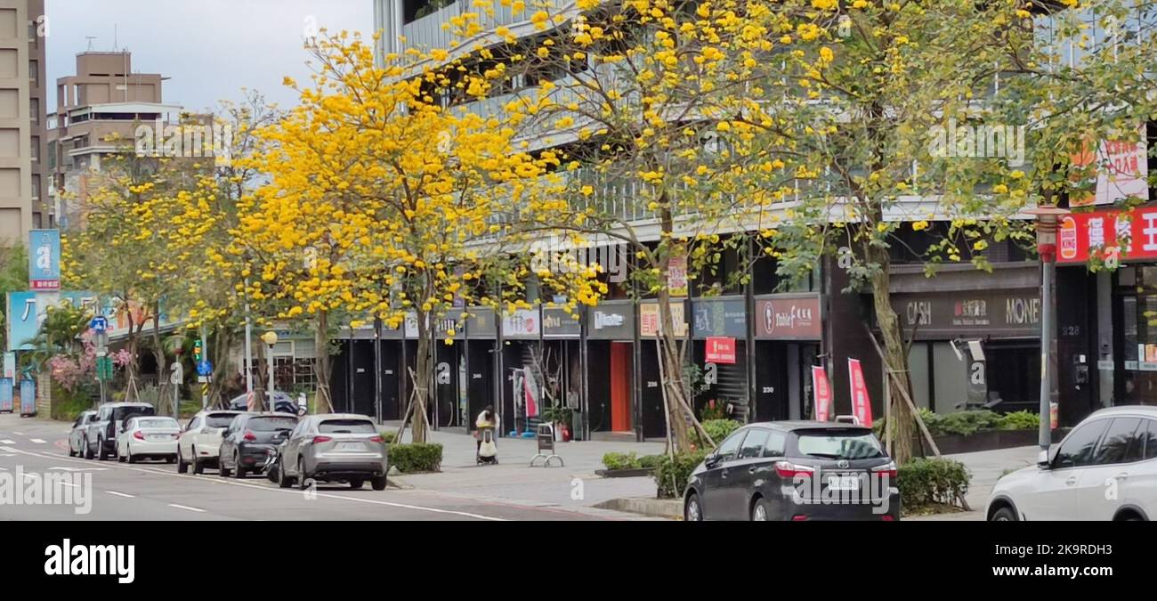 Taiepi hi-res stock photography and images - Alamy