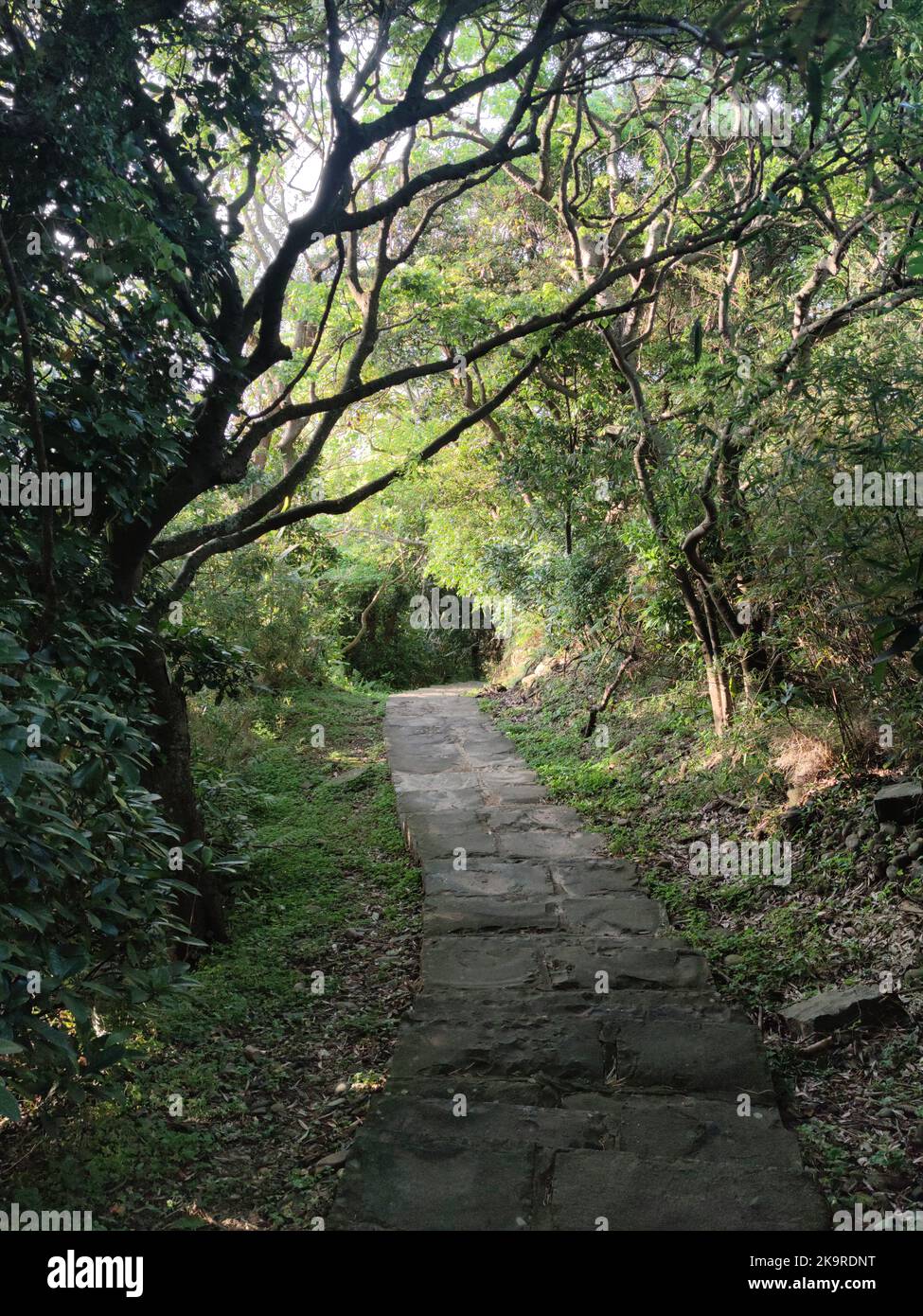 The Linkou Taiping Coastal Trail, New Taipei City, Taiwan Stock Photo ...