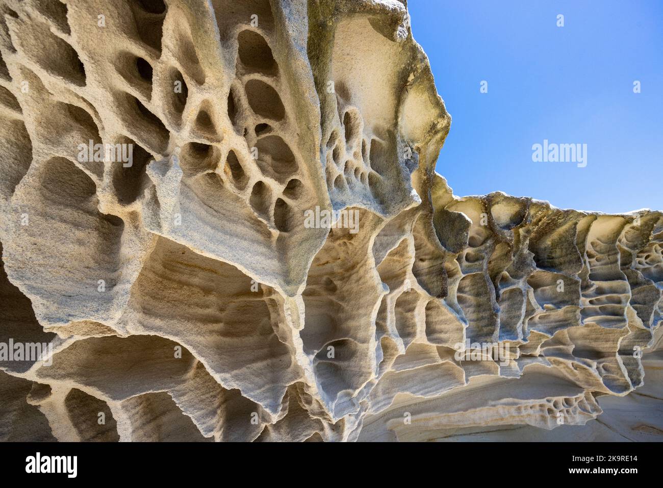 Sandstone weathering at Malabar National Park, Sydney Australia Stock ...